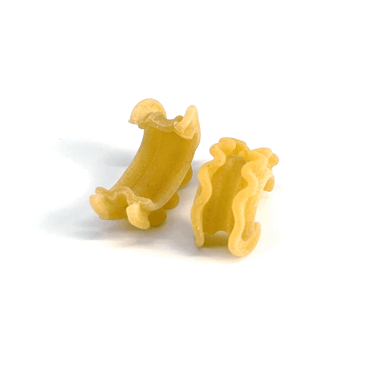 Sfoglini Pasta | North American Organic Grain Pastas