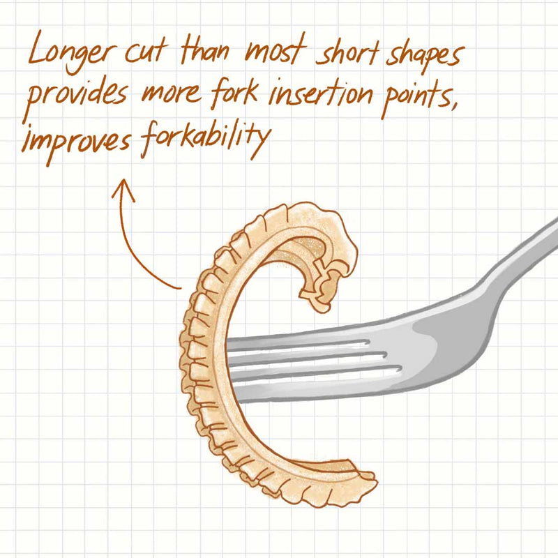 Cascatelli Pasta by Sporkful - Waterfall Pasta - Sfoglini