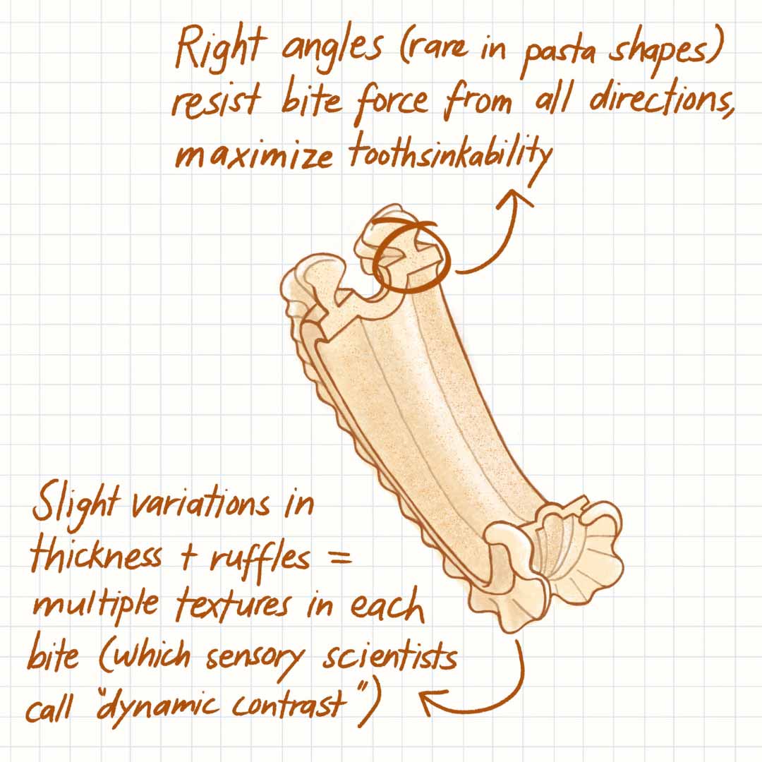 Cascatelli Pasta by Sporkful - Waterfall Pasta - Sfoglini