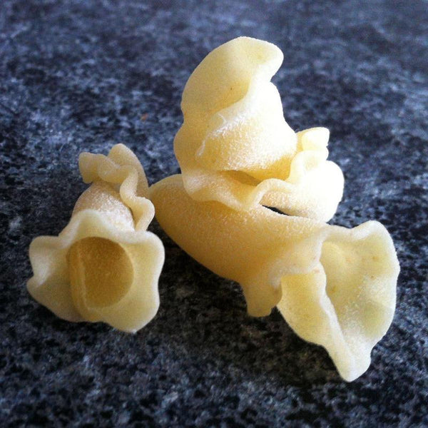 Organic American Grain Trumpet Pasta - Sfoglini Pasta