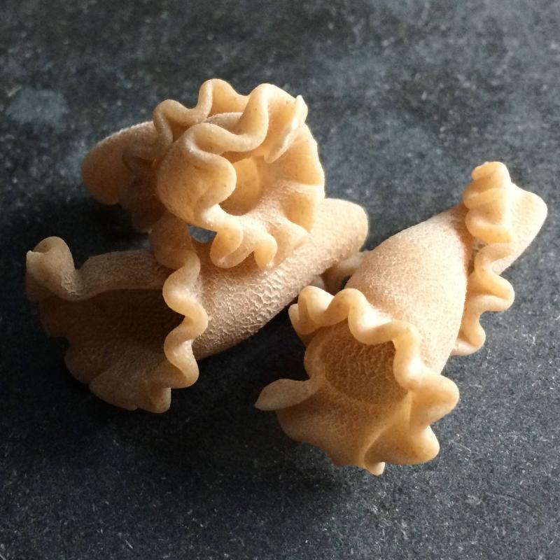 Whole Grain Blend Trumpet Pasta - Sfoglini